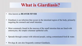 Giardiasis | PPTX