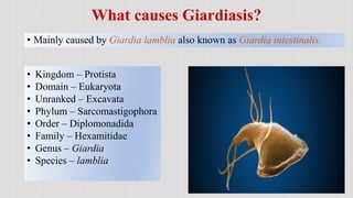 Giardiasis | PPTX
