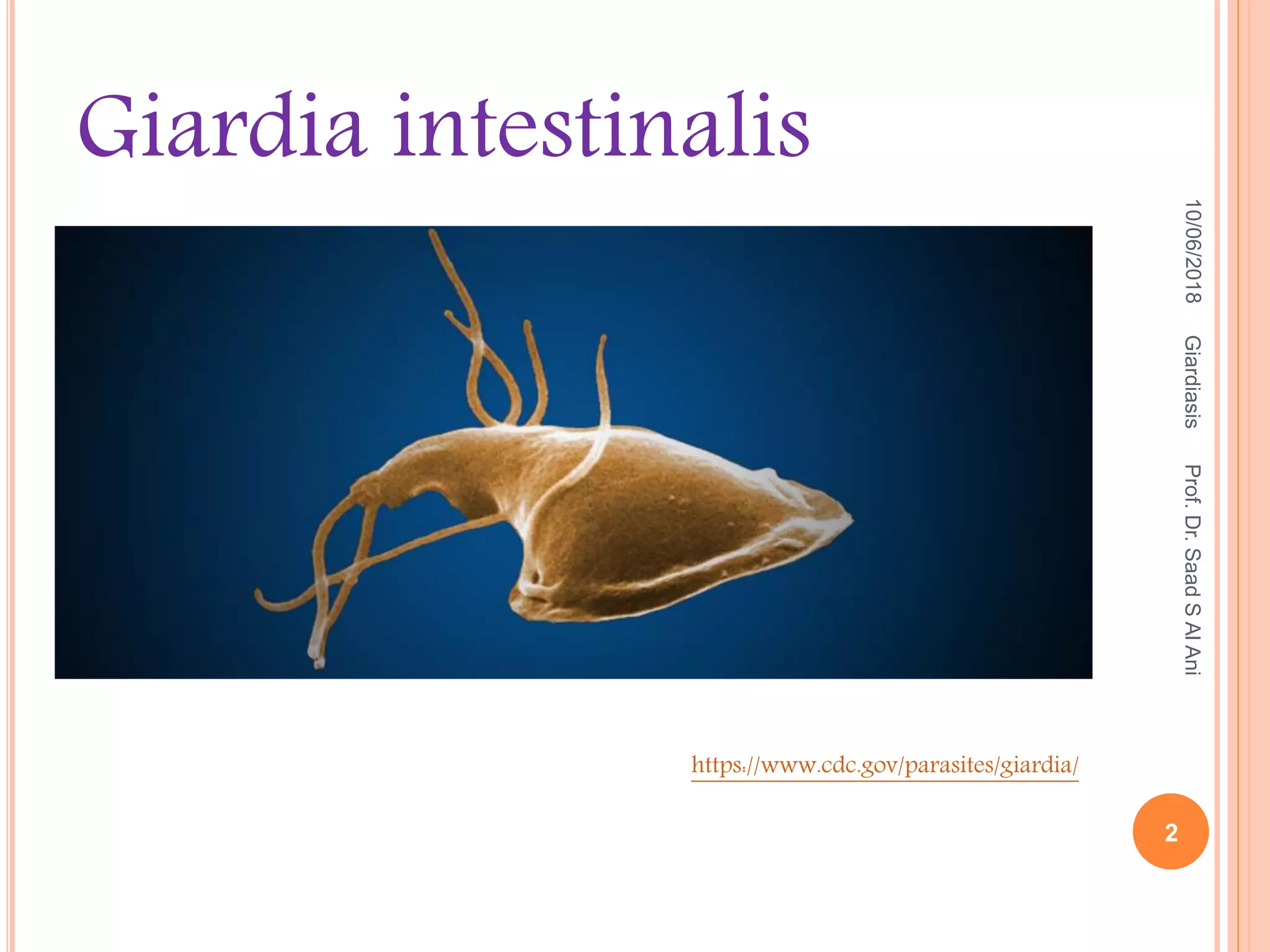 Giardiasis | PPTX