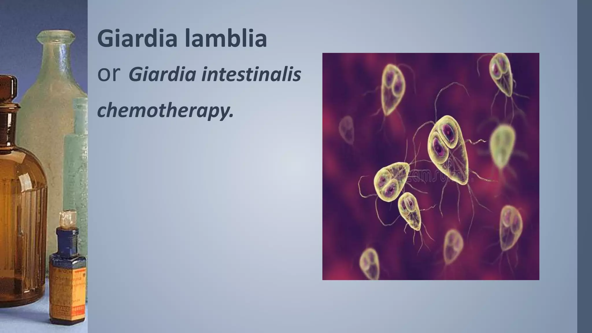 Giardiasis | PPTX