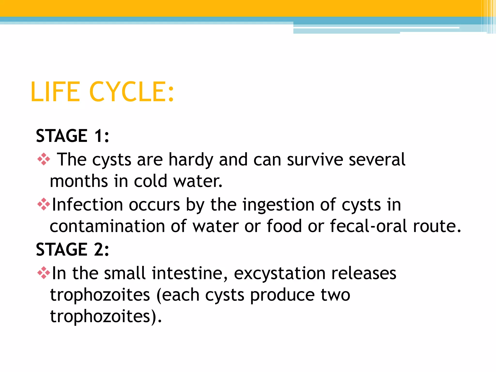 Giardiasis | PPTX