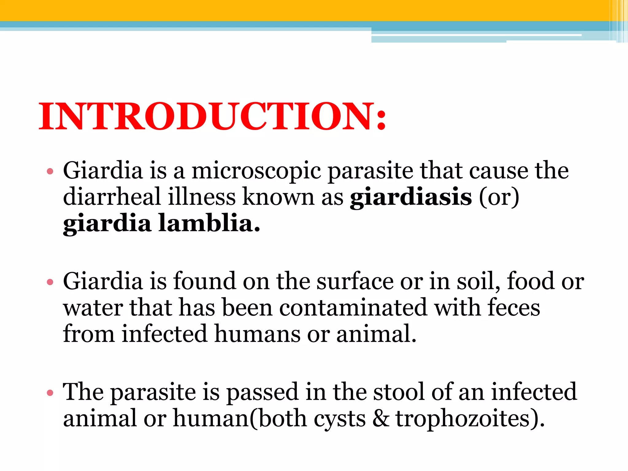 Giardiasis | PPTX