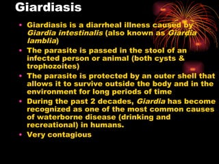 Giardiasis.pptnbdfvhjghdfgydghdghdfgdfhgfd gfd | PPT