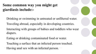 giardiasis-Introduction, symptoms, life cycle, prevention, treatment. | PPT