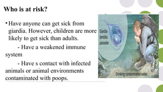 giardiasis-Introduction, symptoms, life cycle, prevention, treatment. | PPT