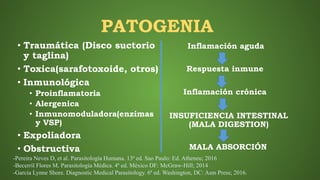 GIARDIASIS - Giardia lamblia | PDF