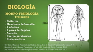 GIARDIASIS - Giardia lamblia | PDF