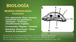 GIARDIASIS - Giardia lamblia | PDF