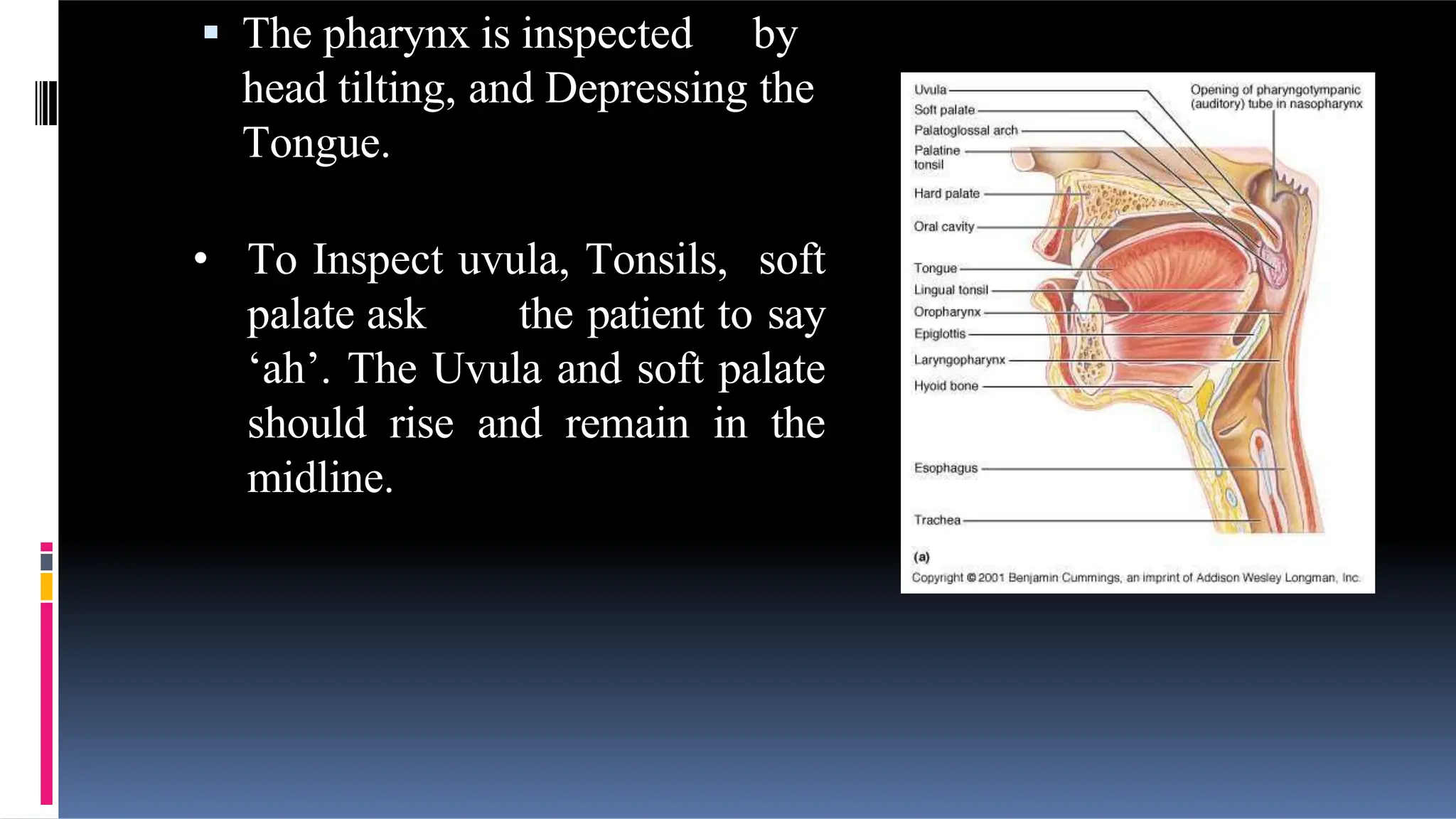 Gastrointestinal assessment in a patients | PPTX