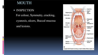 Gastrointestinal assessment in a patients | PPTX
