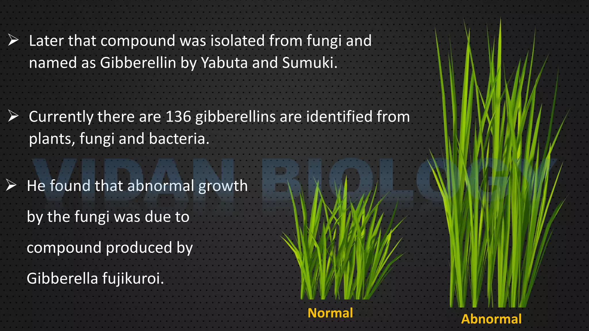 Gibberellic Acid or Gibberellin Hormones | PDF