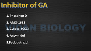 Gibberellic Acid or Gibberellin Hormones | PDF | Gardening | Home & Garden