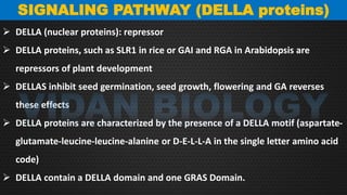 Gibberellic Acid or Gibberellin Hormones | PDF
