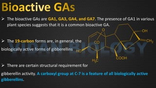 Gibberellic Acid or Gibberellin Hormones | PDF | Gardening | Home & Garden