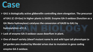 Gibberellic Acid or Gibberellin Hormones | PDF