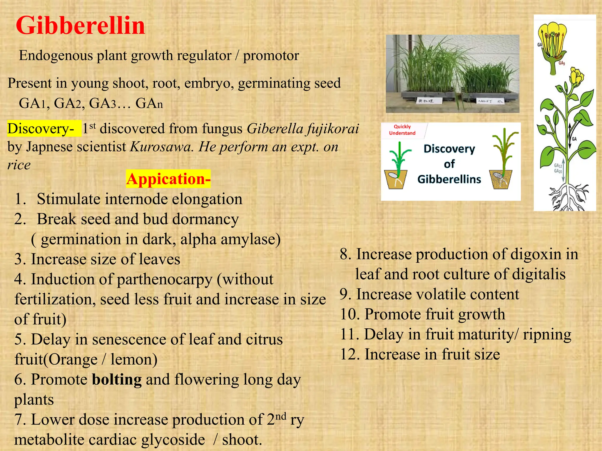 Gibberellin. plant growth regulator which enhances growth of plant | PDF