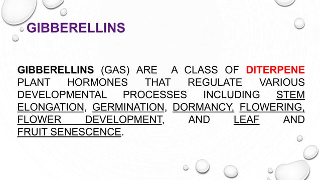 Gibberellins | PPTX