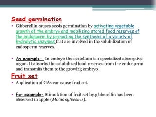 Plant hormone (Part-2)- Gibberellins | PPTX