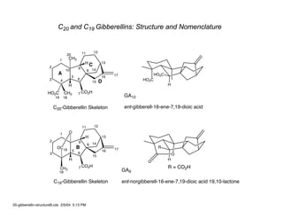 Gibberellins | PDF