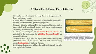 gibberellic acis-biosynthesis and mechanism of action | PPTX