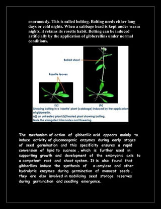 Gibberlins: The regulators of plant height. | DOCX