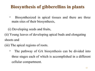 gibberellin plant hormones, signaling, biosynthesis | PPT