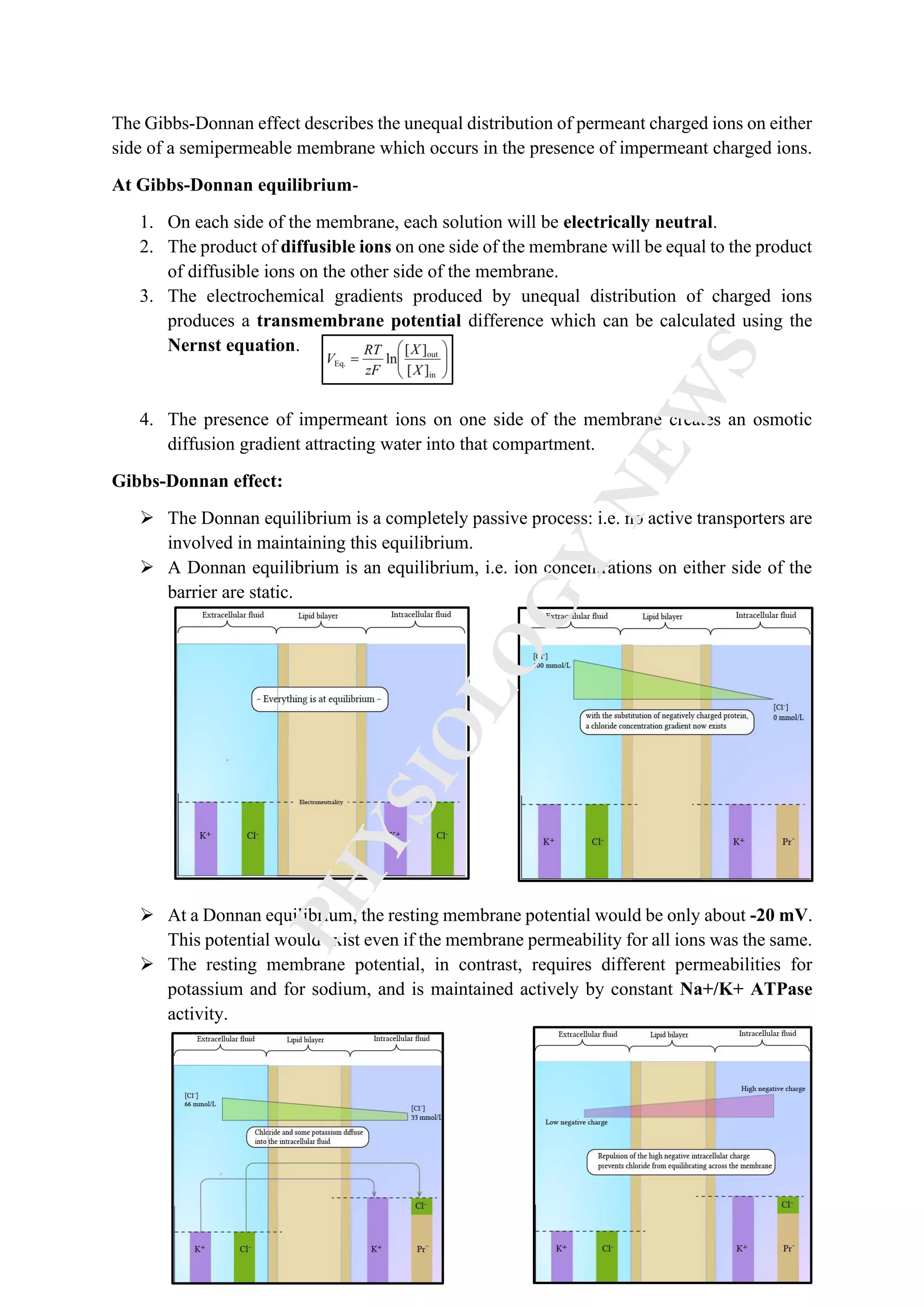 The Gibbs- Donnan equilibrium. | PDF
