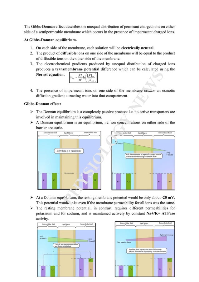 The Gibbs- Donnan equilibrium. | PDF