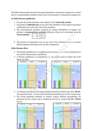 The Gibbs- Donnan equilibrium. | PDF