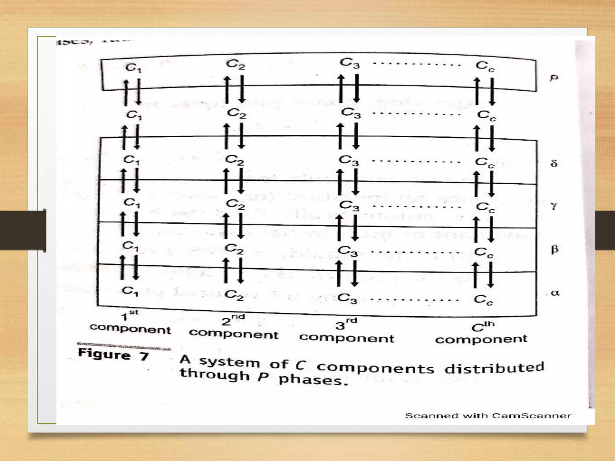 Gibbs Phase Rule.pdf