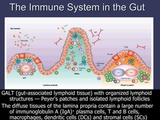 Gi+biology,+pathology,+and+treat | PPT
