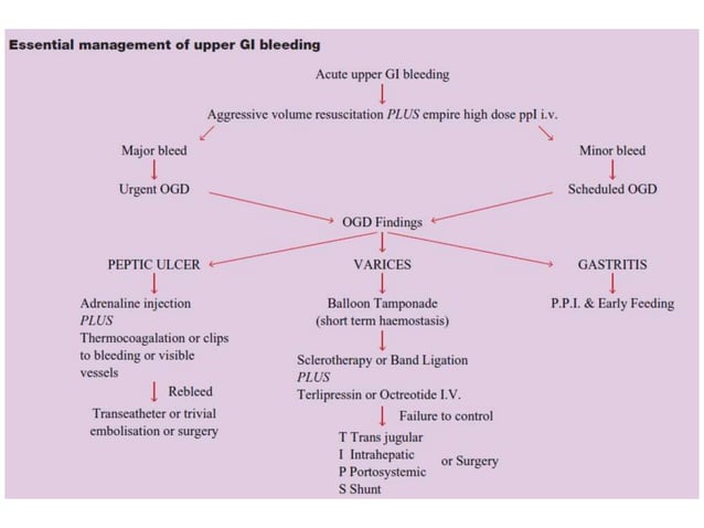 GI Bleeding (Upper and Lower GIB) | PPTX | Digestive Disorders ...