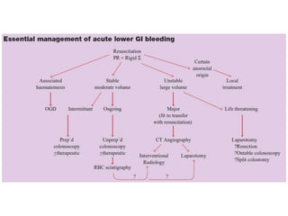 GI Bleeding (Upper and Lower GIB) | PPTX