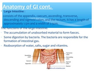 GI bleeding | PPT