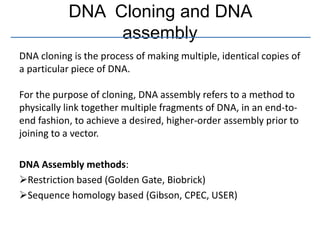 Gibson Assembly in Cloning | PPTX
