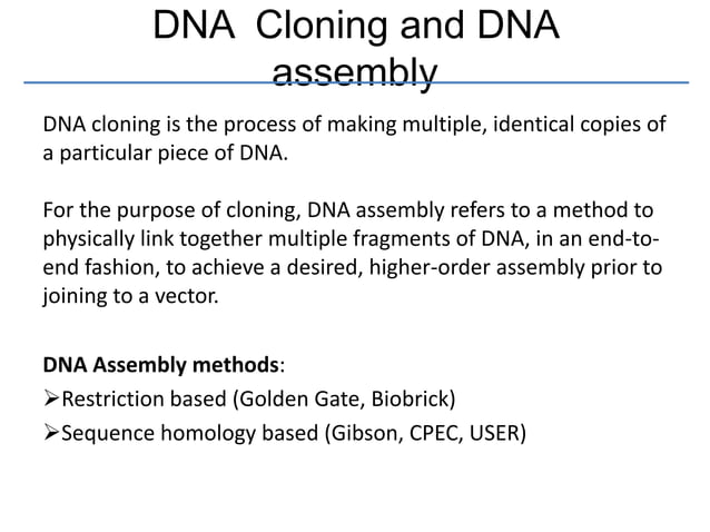 Gibson Assembly in Cloning | PPTX | Chemistry | Science
