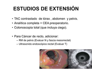 CES2018-01: Cáncer gastrointestinal 1 (Ana Milena Roldán) | PPTX