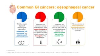 gi_cancer_slides_overview.pptx