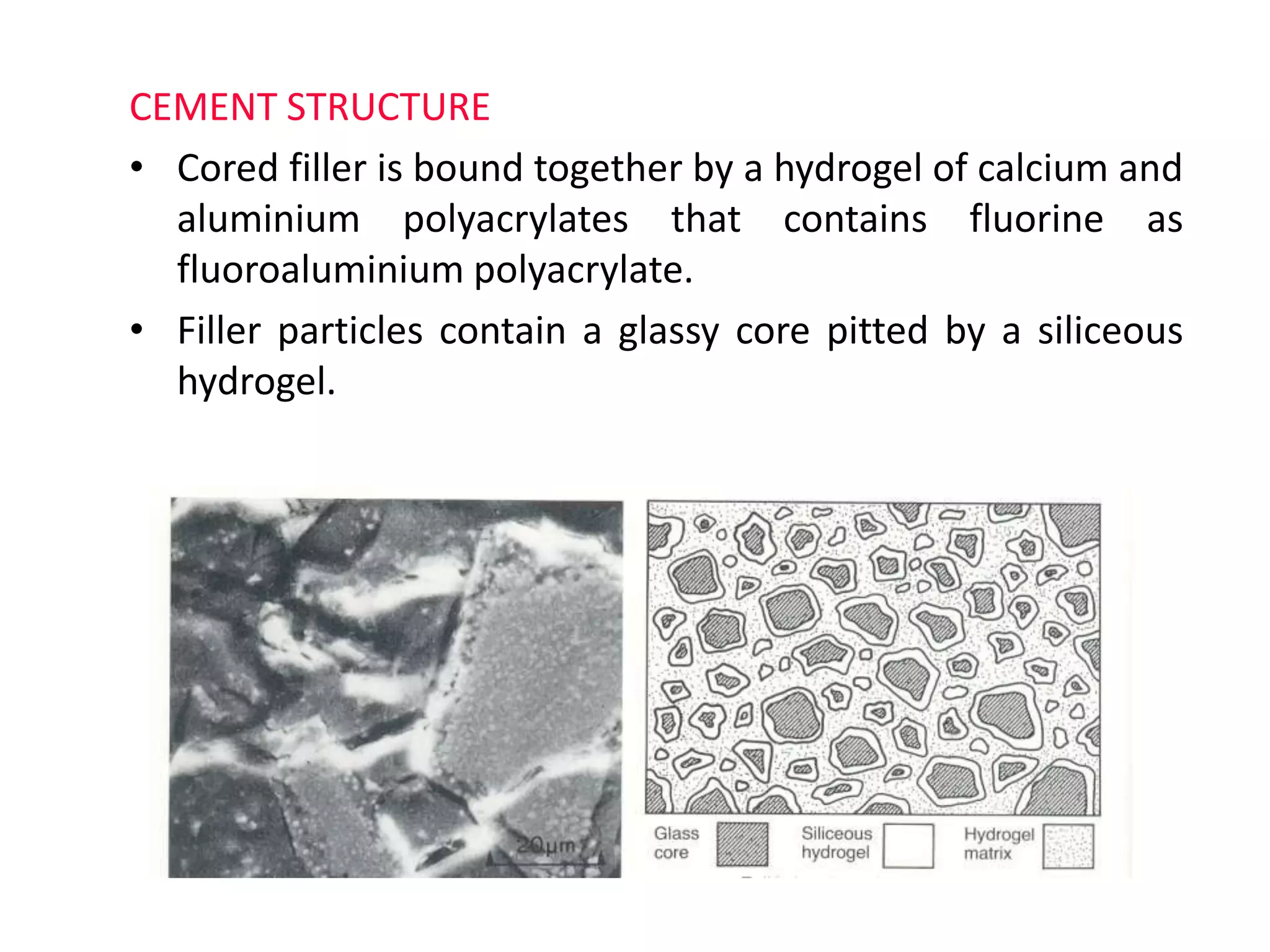 Glass Ionomer Cement (GIC) - Science of Dental materials | PPTX