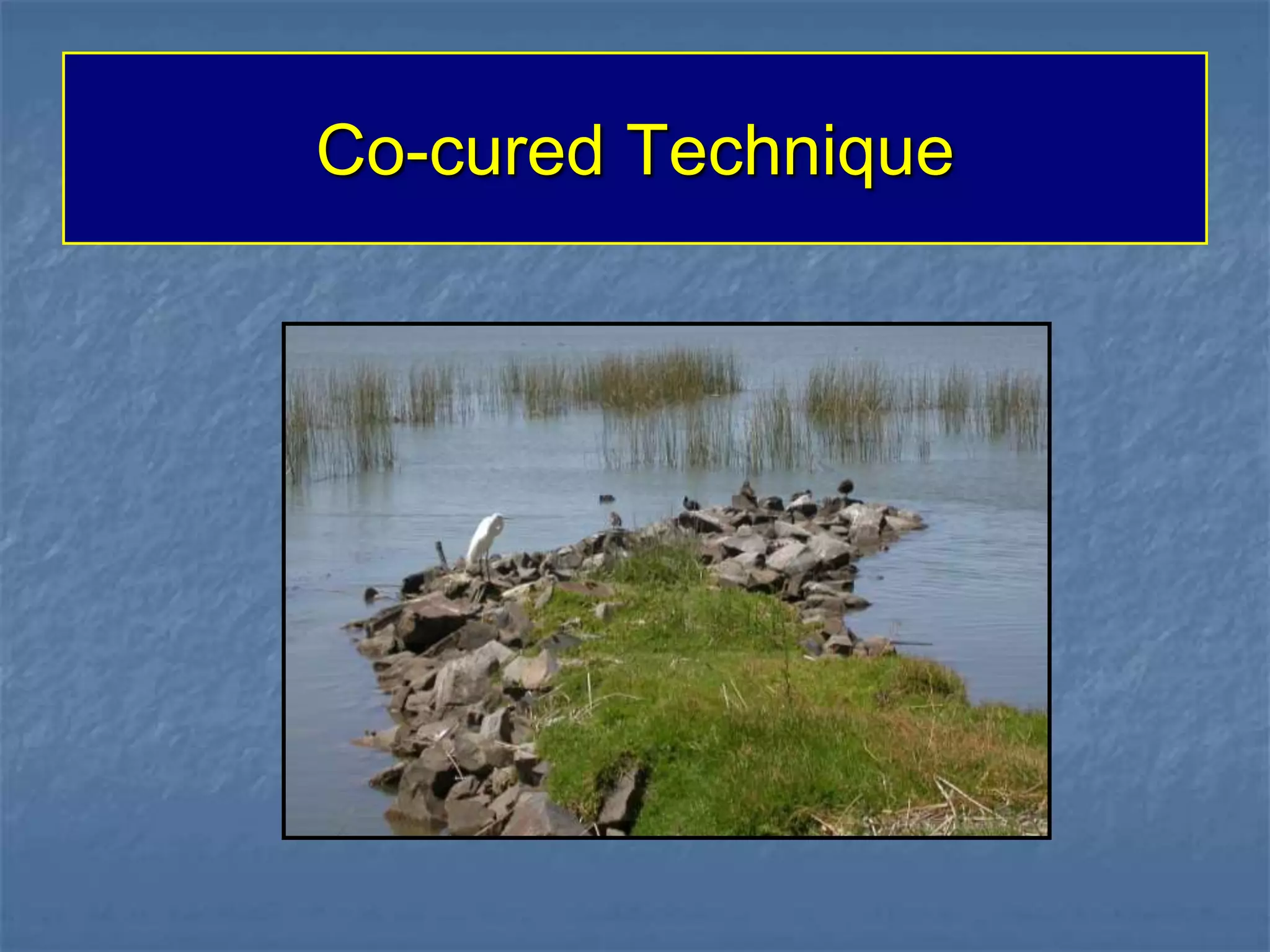 Gic presentation | PPT