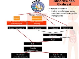 GIDAS_Pengolahan makanan di dalam tubuh_PWH131119.pdf