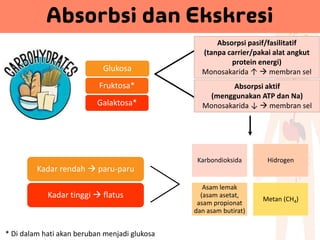 GIDAS_Pengolahan makanan di dalam tubuh_PWH131119.pdf