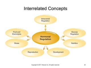 Giddens Ch. 14 Hormonal Reg.pptx