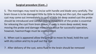 Gid disease in goat and surgical correction.pptx