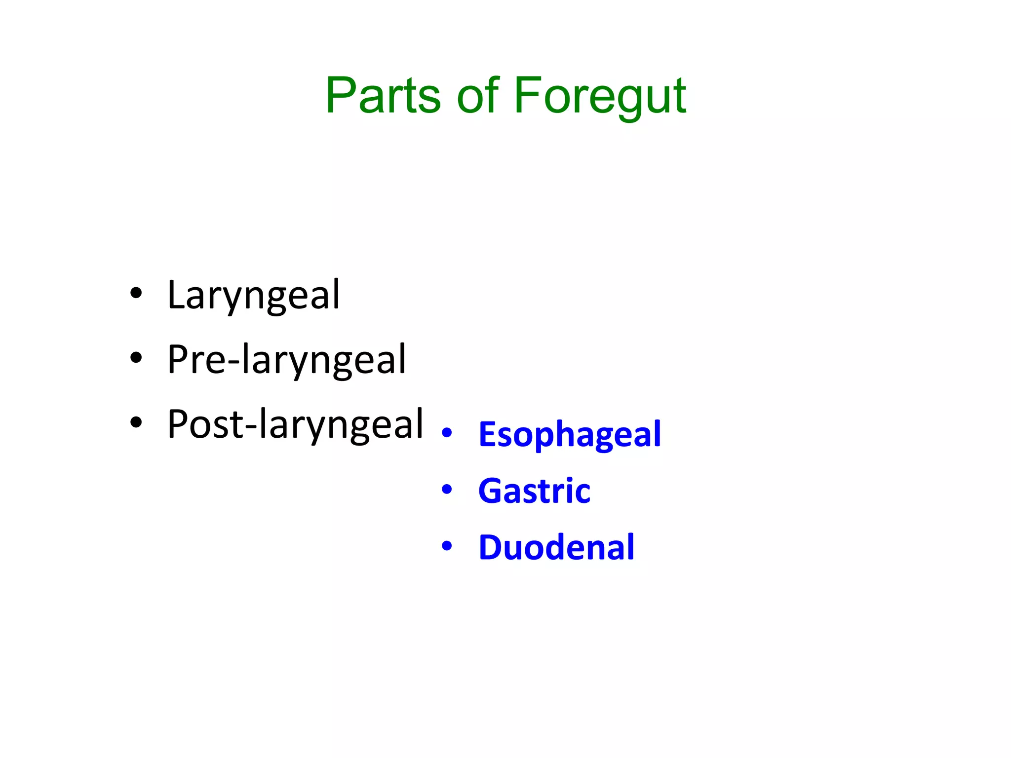 GI development embryology & Concept of Peritoneum | PPTX