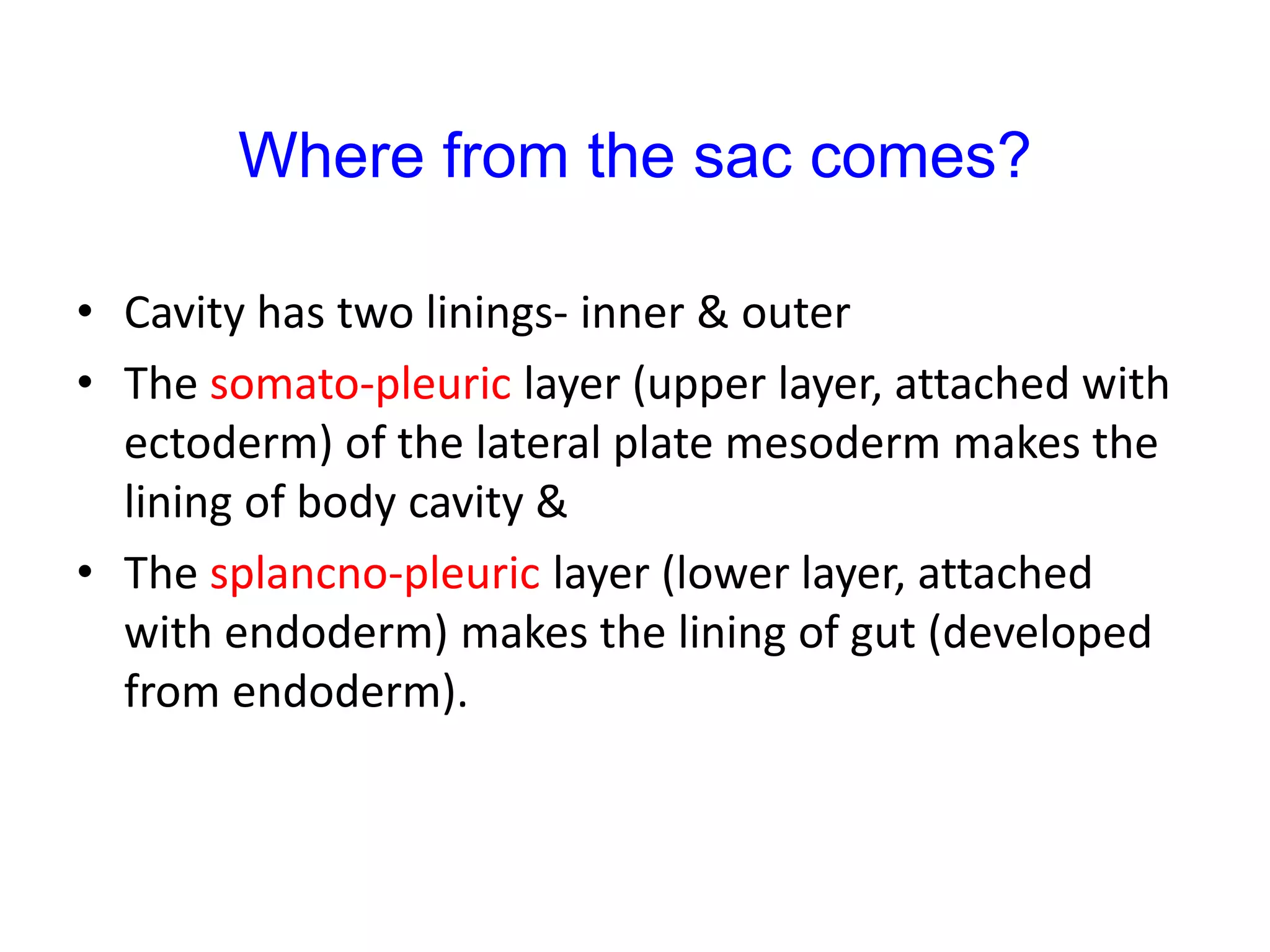 GI development embryology & Concept of Peritoneum | PPTX