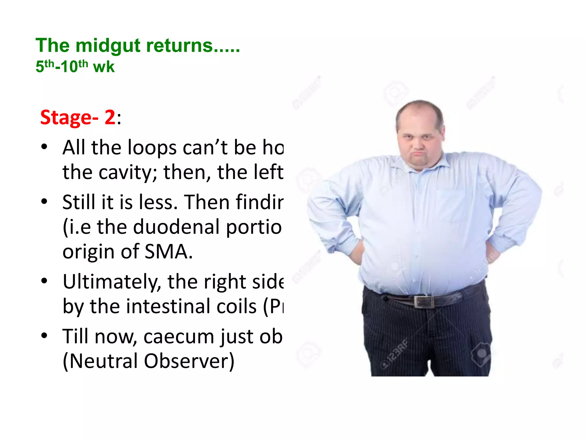 GI development embryology & Concept of Peritoneum | PPTX