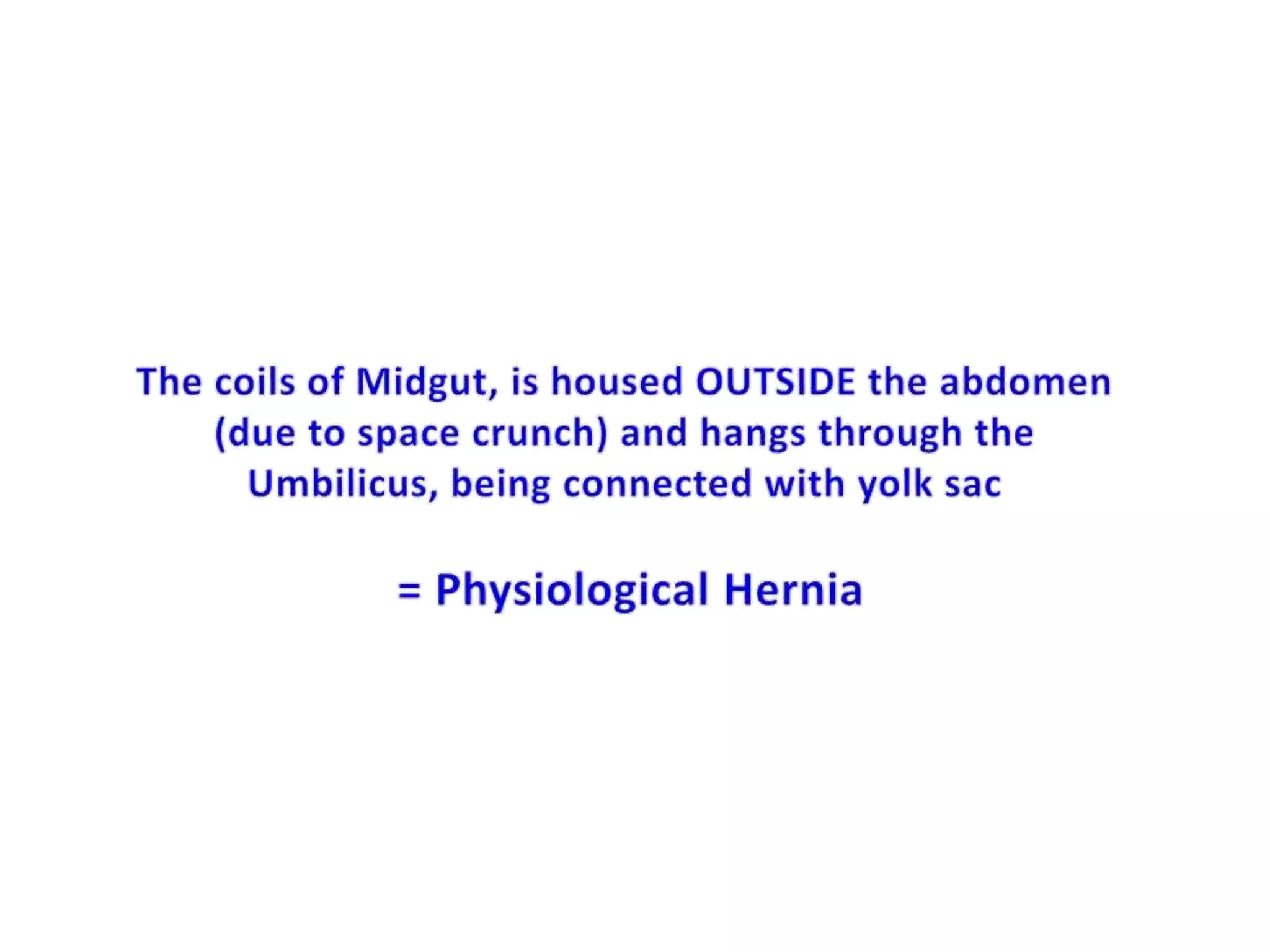 GI development embryology & Concept of Peritoneum | PPTX