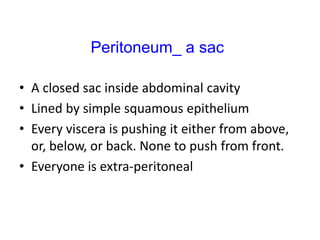 GI development embryology & Concept of Peritoneum | PPTX