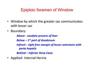 GI development embryology & Concept of Peritoneum | PPTX